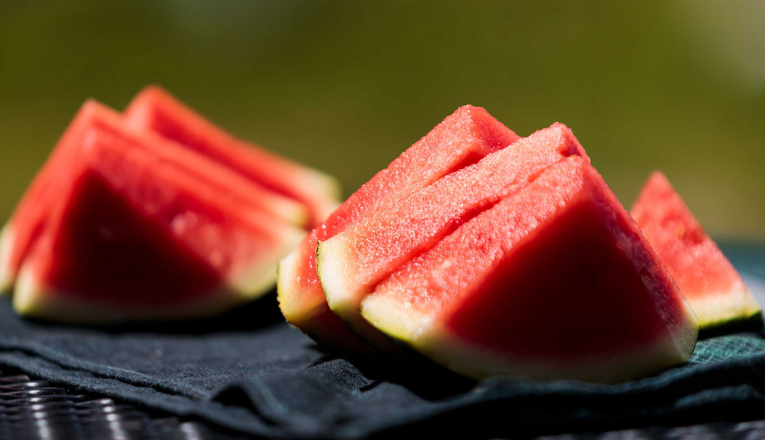 WATERMELON.ORG - FLM/Harvest